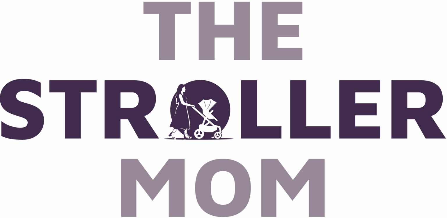 8 Best Diono Car Seats - My Honest Review