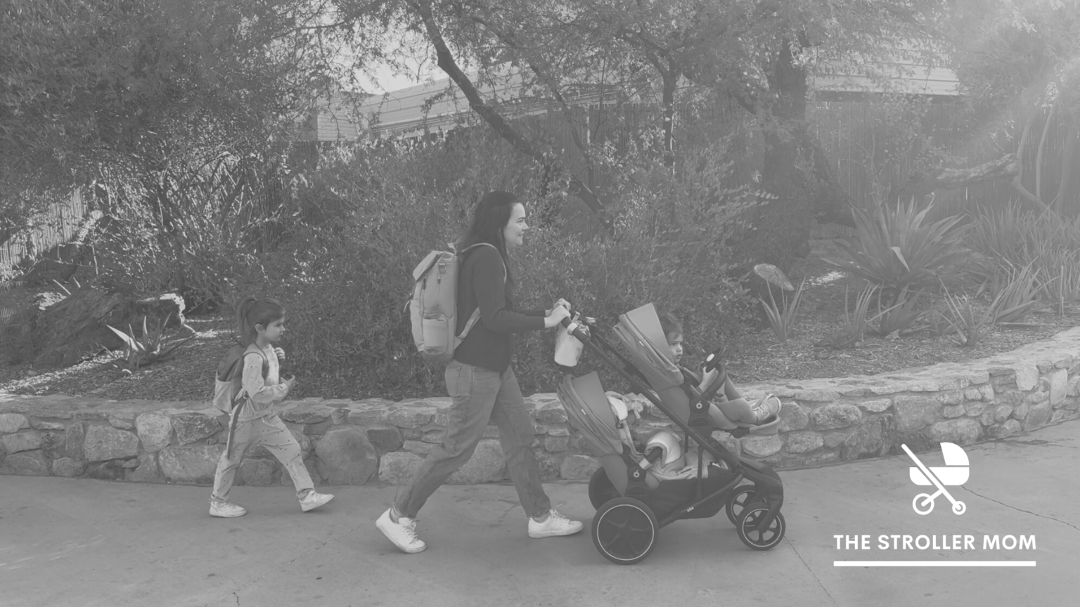 Zoe Strollers: Which One is Best for Your Family? - The Stroller Mom